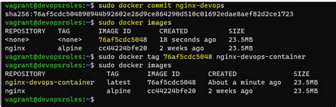 Step By Step Create Docker Image From A Running Container DevopsRoles Better