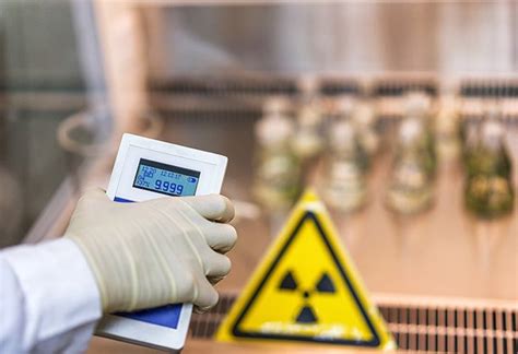 Ipp Project Radiation Security