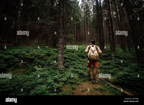 Closeup Portrait Of Young Hiker Hiking Looking Up At Trees Mountain