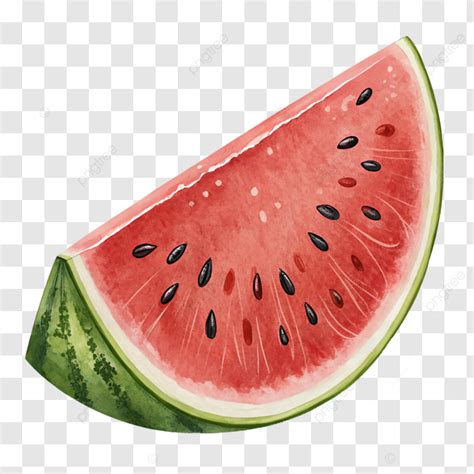밝은 붉은 살과 씨앗이있는 3d 수박 슬라이스 현실적 수박 조각 밝은 붉은 살 씨앗 과일 달콤한 Png 일러스트 및 이미지 에 대한 무료 다운로드 Pngtree