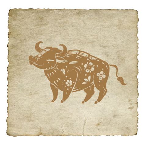 Signes Astrologiques Chinois Significations Dates Compatibilités