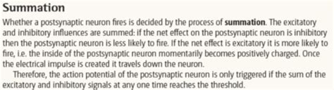 Lesson 02 Consolidation Activities On Neurons And Synaptic Transmission Flashcards Quizlet