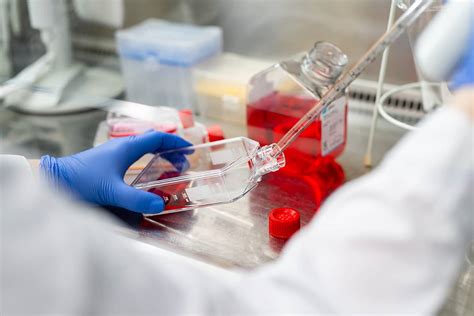 Medical Technology Ompg