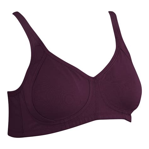 Buy Bls Calantha Bra P Purple Blsamt10421 Online At Special Price In