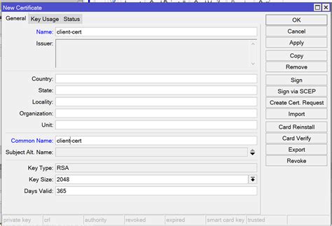 How To Set Up And Connect To An Openvpn Server On Mikrotik Routeros Nmoleo Software
