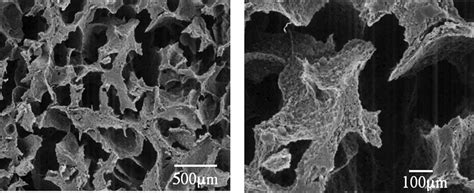 Sem Photograph Of The Sample C After Drying Treatment Download
