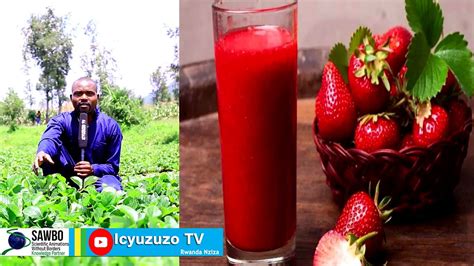 Musanze Uramutse Uhinze Inkeri Kuri Hectare1 Wasarura Miriyoni 200 Menya Byishi Kubuhinzi Bw