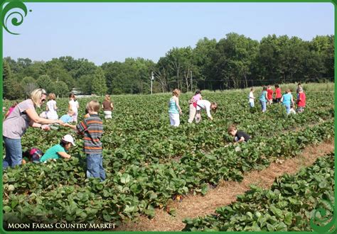 Colbert Explore Georgia