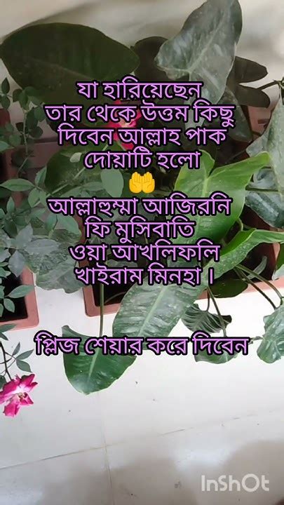 যা হারিয়েছেন তার থেকে উত্তম কিছু দিবেন আল্লাহyoutubesearch