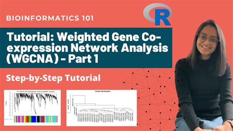 Weighted Gene Co Expression Network Analysis Wgcna Step By Step