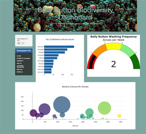 GitHub Karinacaceres Belly Button Biodiversity