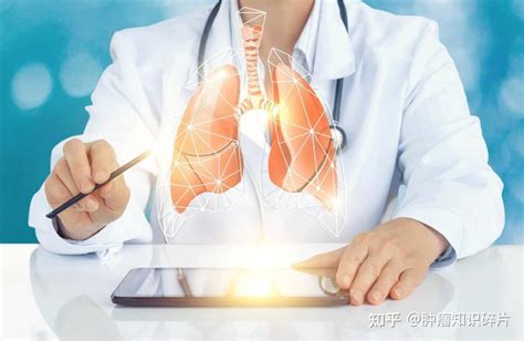 肺癌的病理分类 知乎