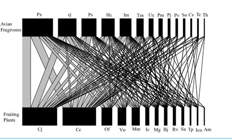 Bipartite Network Diagram Between Plants 13 Spp And Birds 14 Spp