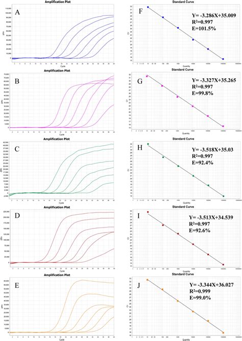 The Amplification And Standard Curves Of The Pentaplex Qrt Pcr Assay