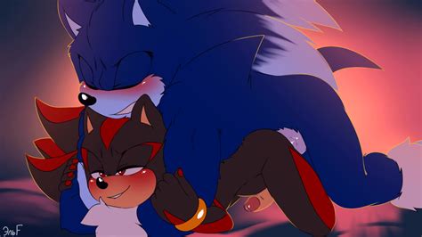 Post 5713508 Animated Krazyelf Shadowthehedgehog Sonicthehedgehogseries Sonicthe