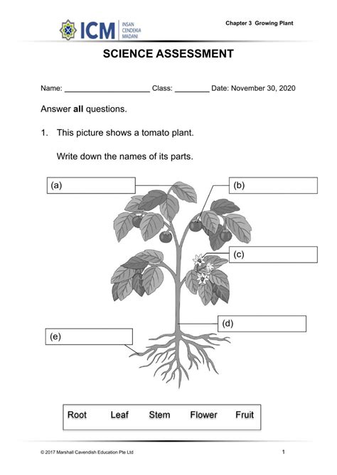 Parts Of A Plant Online Worksheet For Grade 1 You Can Do The Exercises