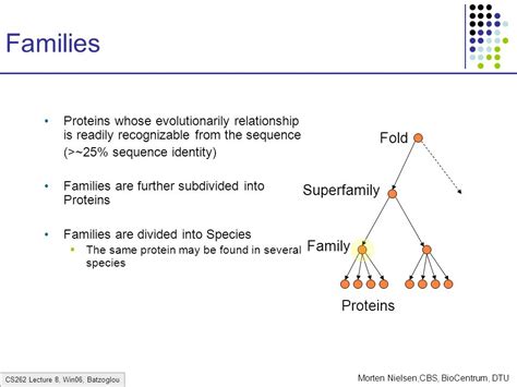 Proteins Pair Hmms And Alignment Cs Lecture Win Batzoglou A