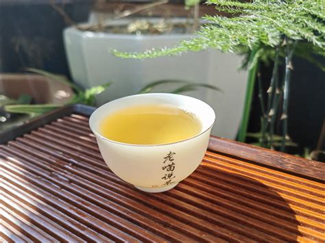 普洱茶什么时候喝好 哔哩哔哩