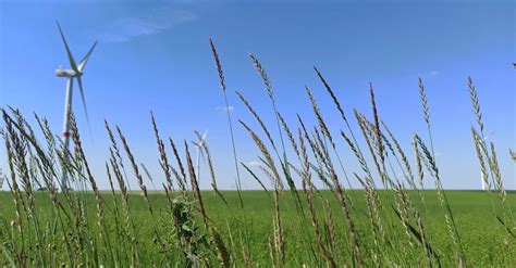 강력한 환경 경치 기술 기후 행동 날 녹색 풍경 농업과 에너지 대체 에너지 들판 바람 바람 농장 발전 생태 식물 얕은 포커스 에너지 에너지 분야