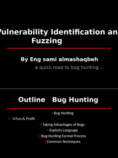 91 Vulnerability Identification And Fuzzing Pdf Debugging Computer Program