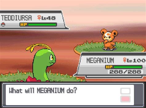 How To Get Teddiursa In Pokémon Hg Ss Fandomspot