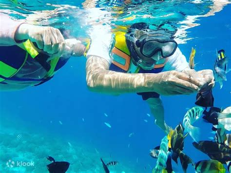 Gili Trawangan Gili Meno And Gili Air Snorkeling Tour From Bali Klook India