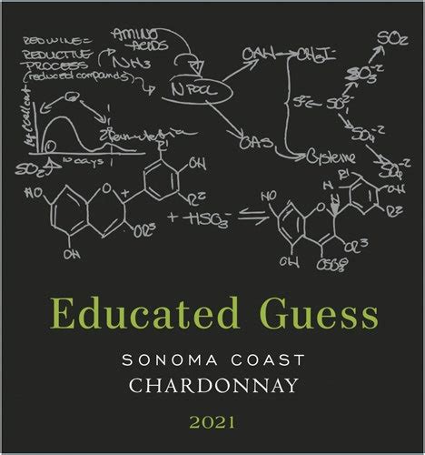 Educated Guess 2021 Cabernet Sauvignon California Rating And Review