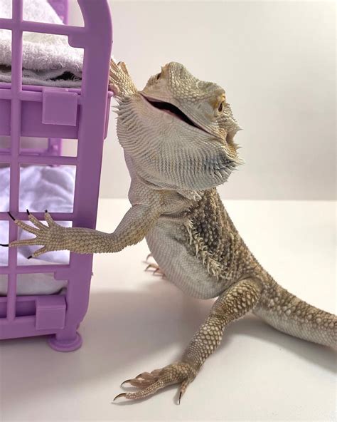 Nnmnmmn • Instagram Photos And Videos