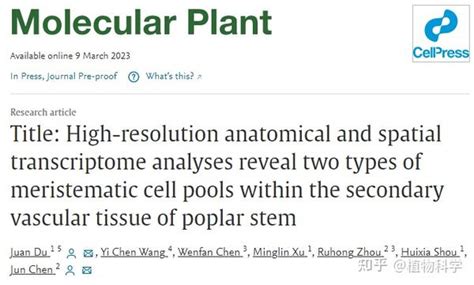 Mol Plant 浙江大学生命科学学院杜娟课题组报道植物维管组织结构与发育研究领域新进展 知乎
