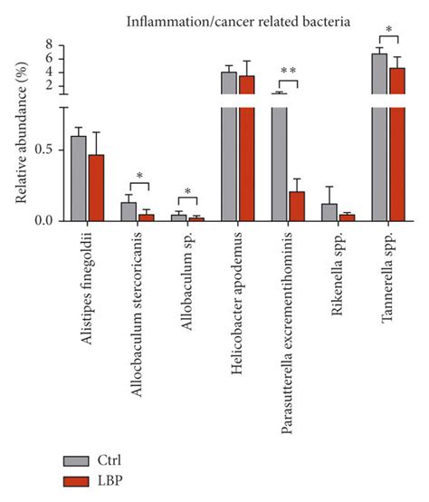 lbp reduced the relative abundance of potential pathogens the control