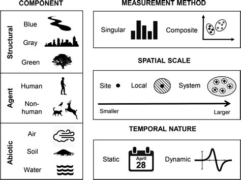 Defining Urbanization A New Conceptual Framework Life In The City
