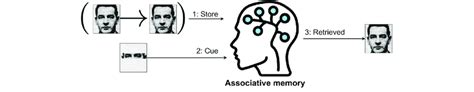 Auto Association Example 1 An Artificial Associative Memory Model