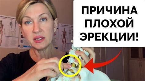 ЭРЕКЦИЯ БУДЕТ КАК В 20 ЛЕТ Как укрепить мужское здоровье Мужское
