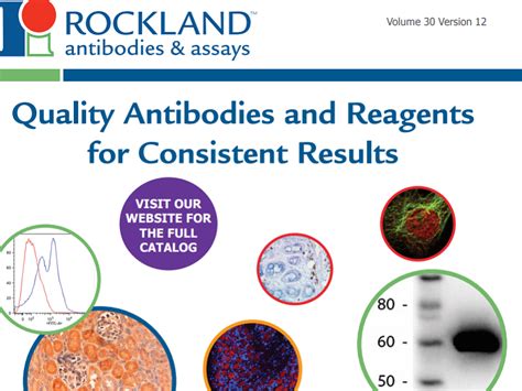 Rockland Immunochemicals Products From Cambridge Bioscience
