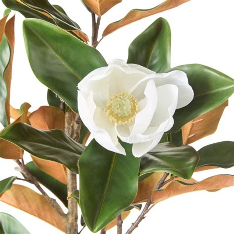 115cm Potted Faux Magnolia Tree Temple And Webster