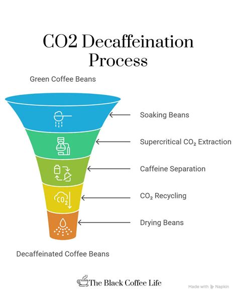 How Coffee Is Decaffeinated The Black Coffee Life