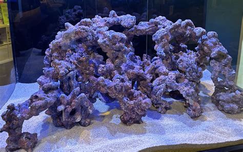How To Aquascape A Reef Aquarium Reef Builders The Reef And