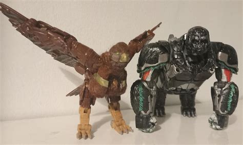 Custom Mainline Rotb Airazor R Transformers