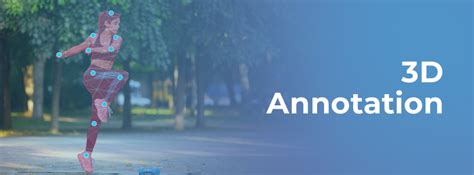 What You Need To Know About D Annotation Data Annotation