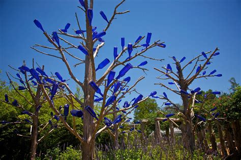 What Is A Bottle Tree How To Make A Bottle Tree Taste Of Home