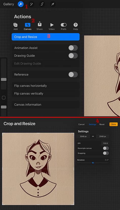 Best Procreate Canvas Settings Step By Step On How To Set Up Your Canvas