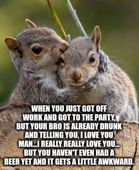 Drunk Squirrel Imgflip