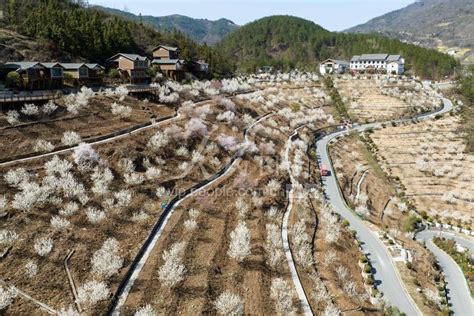 湖北保康四好农村路助力乡村游 人民图片网