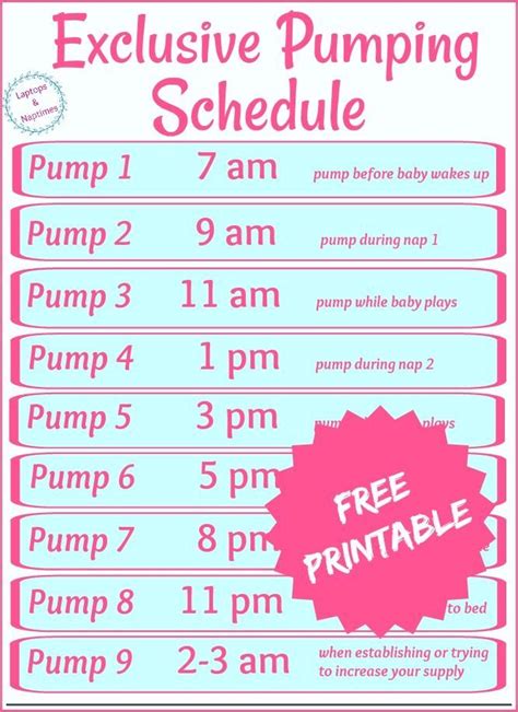 How To Exclusively Pump And Free Pumping Schedules