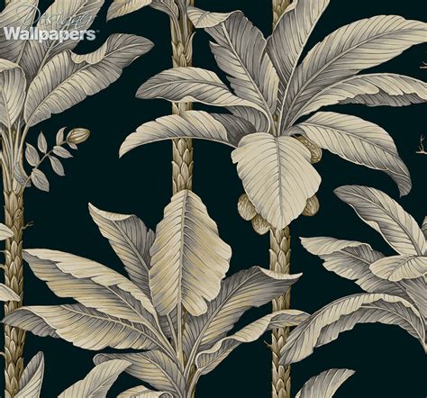 Today Interiors Savannah Grass Ls60100 Ls60106 Next Day Delivery Designer Wallpapers