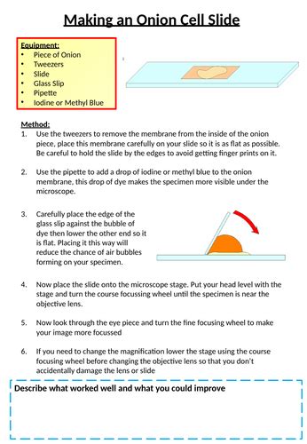 Ks3 Science Using Microscopes Lesson And Activities Teaching Resources