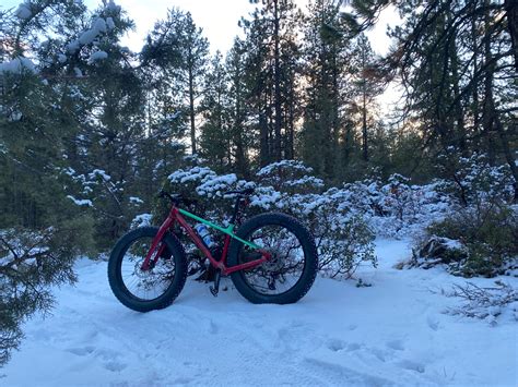 Steve Langenderfer Slang C Im C Im