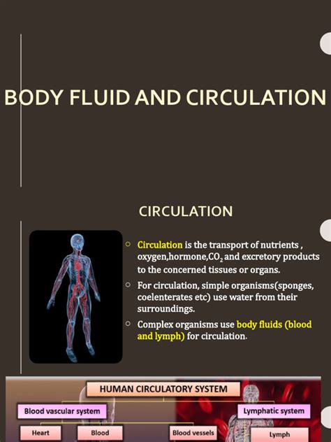 Circulatory System Introduction Download Free Pdf Circulatory