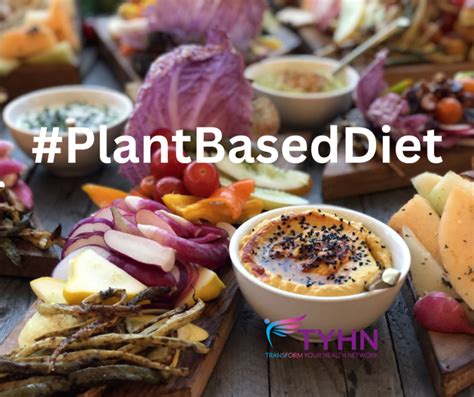 Plant Based Diets