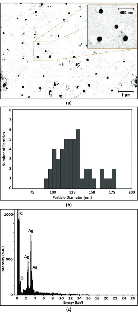 SEM Image Of Synthesized AgNPs A Size Distribution Of AgNP Observed